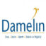 Damelin Contact Details: Across all Campuses - Dora updates